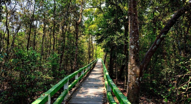 করমজল পর্যটন কেন্দ্র- [Koromjol Tourist Center]