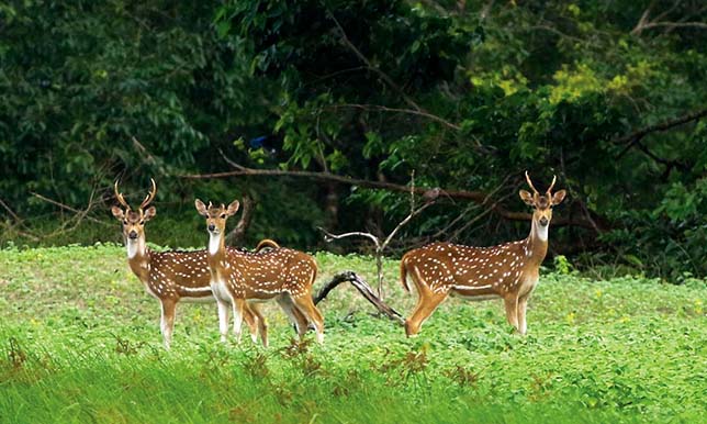 করমজল পর্যটন কেন্দ্র- [Koromjol Tourist Center]